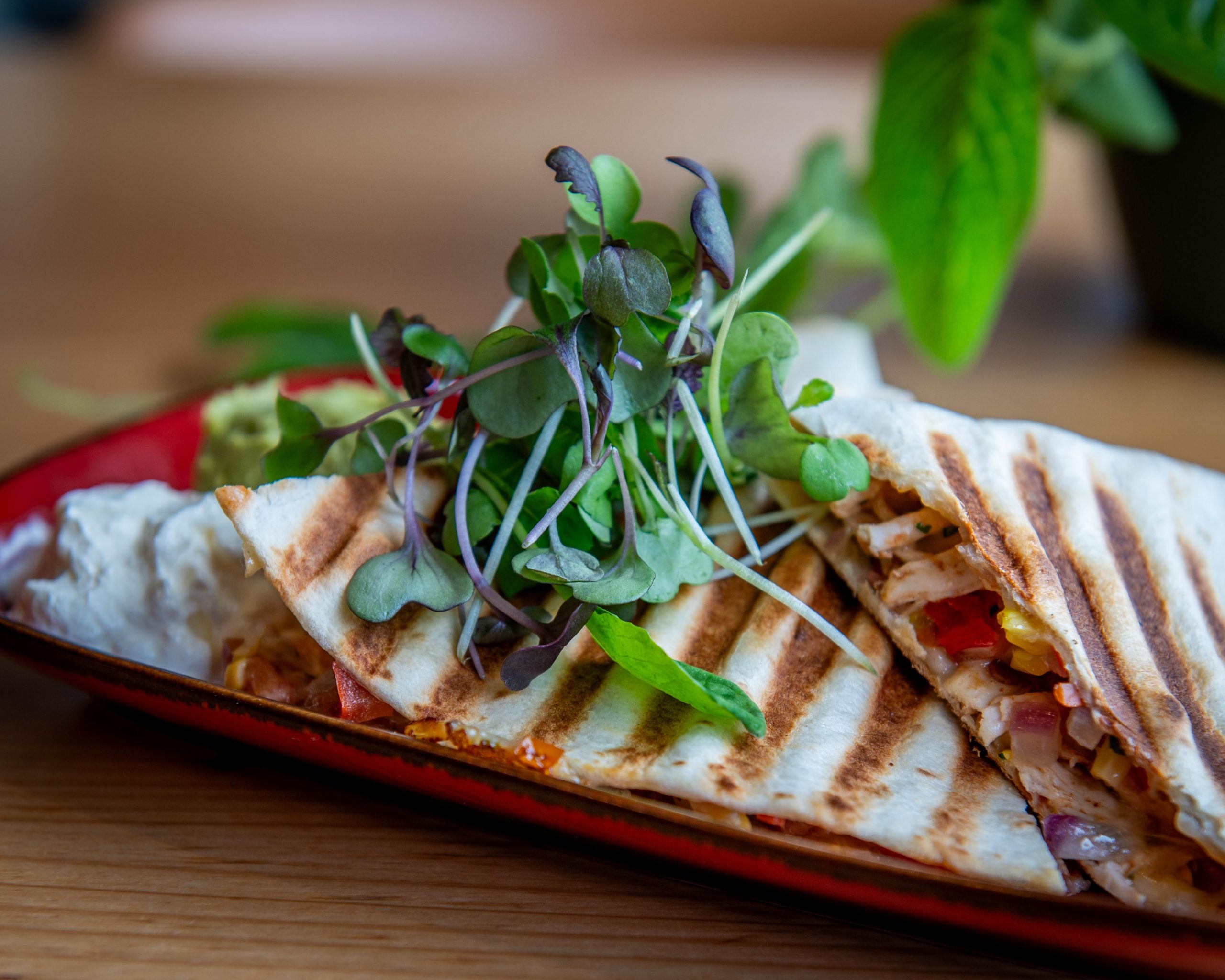 PHOTO GALLERY - Rosebud RSL